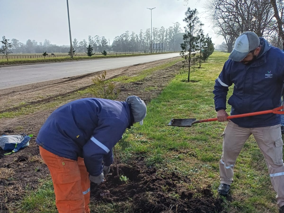 INTENSAS ACTIVIDADES POR LA SEMANA DEL ARBOL - MUNICIPALIDAD DE BALCARCE